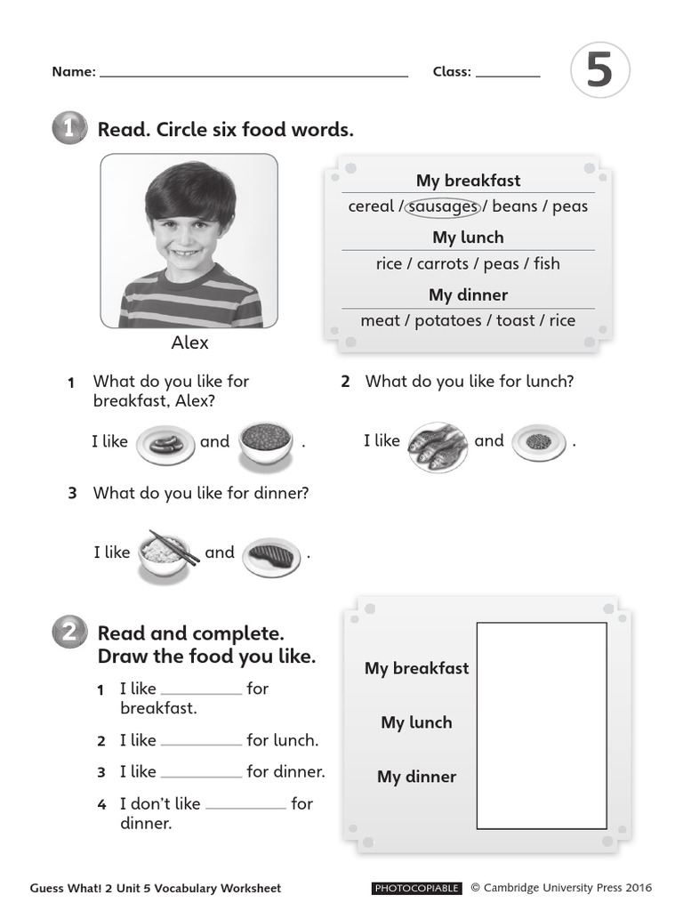 U5 Worksheets | PDF | Cooking | Foods