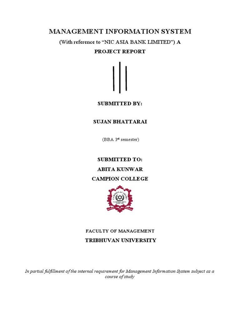 Management Information System | PDF | Computer Security | Security