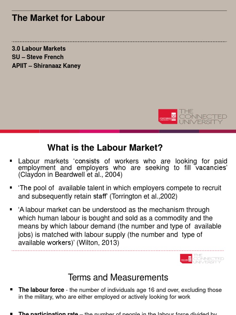 Understanding Labour Market Dynamics | PDF | Labour Economics | Human ...