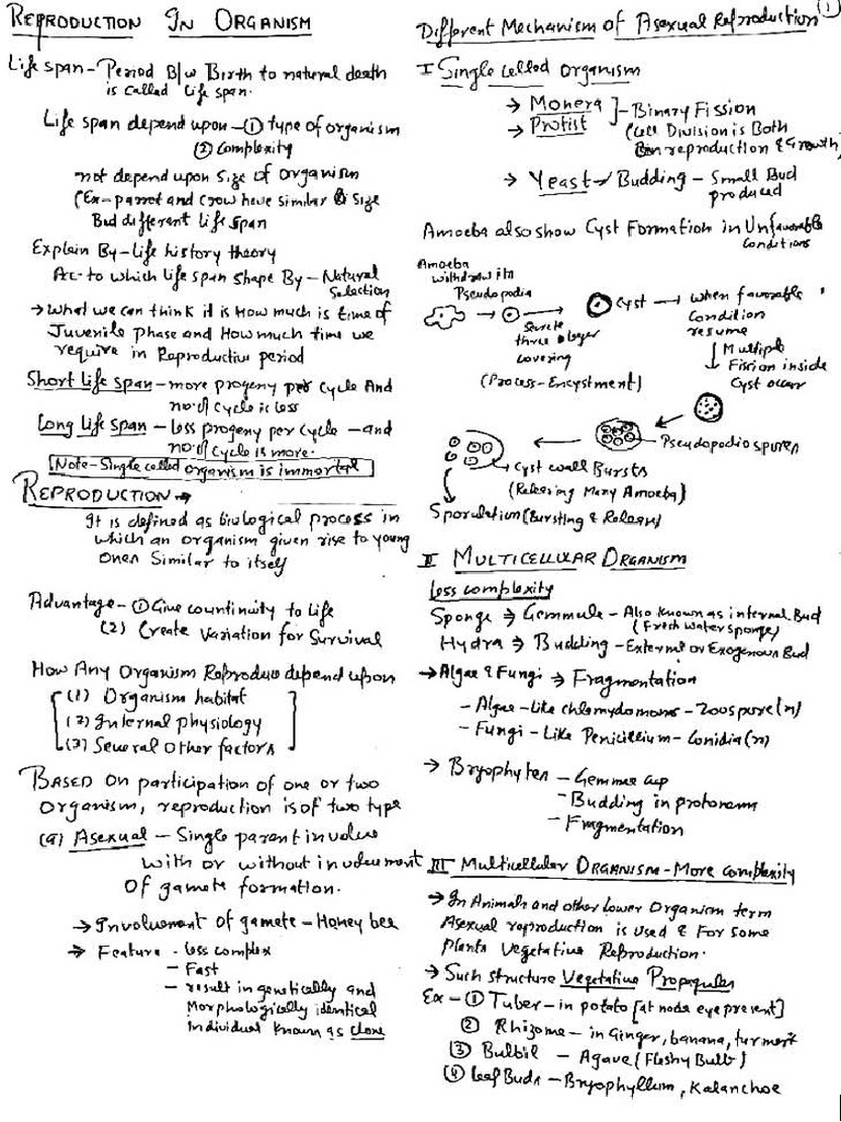 3575dbaa-be85-45bb-972d-815b1d29b9a9 | PDF