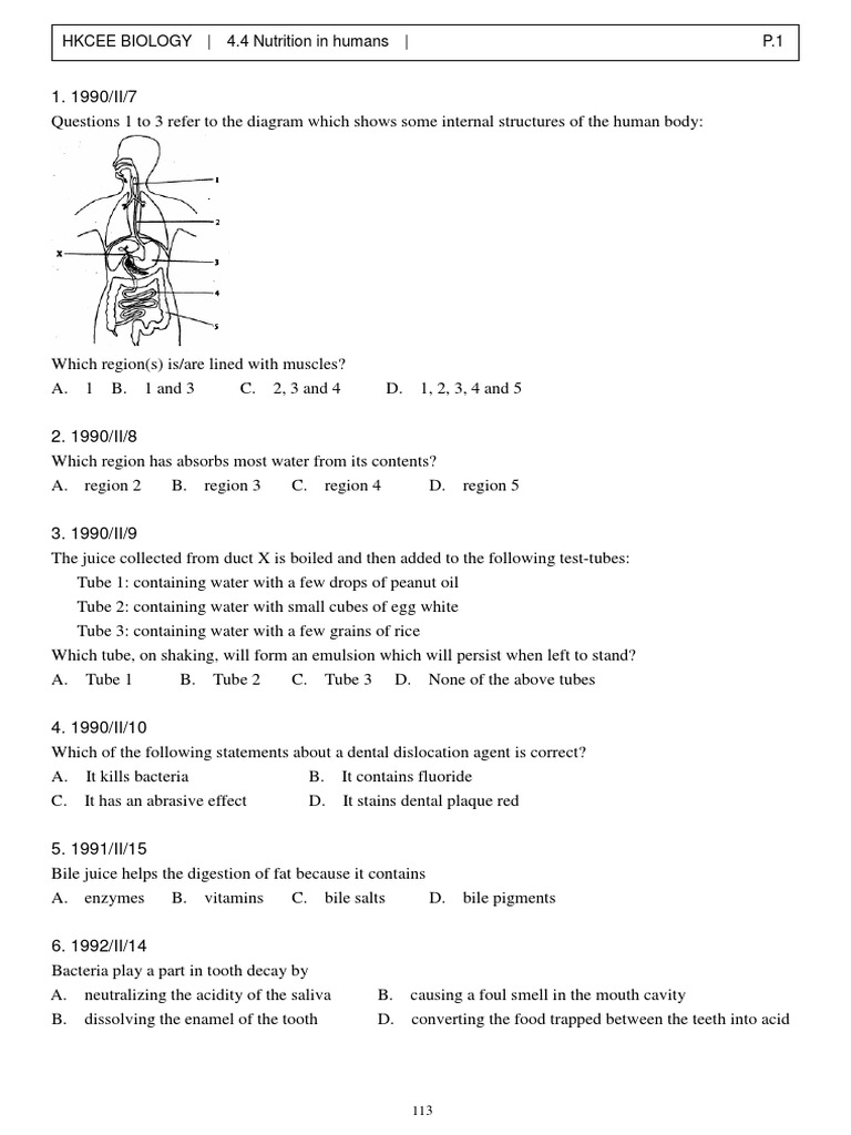 Human Nutrition and Digestion Questions | PDF | Digestion | Liver