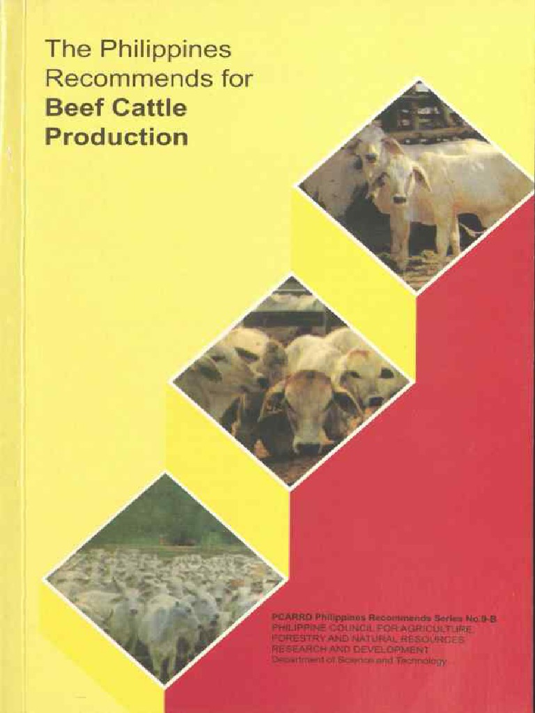Recommends For Beef Cattle Production | PDF