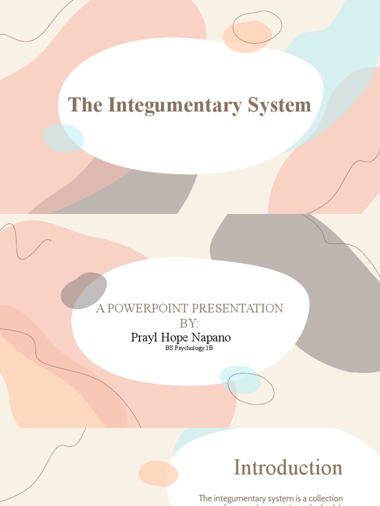 PowerPoint - Presentation - About - Integumentary - System | PDF | Integumentary System | Skin