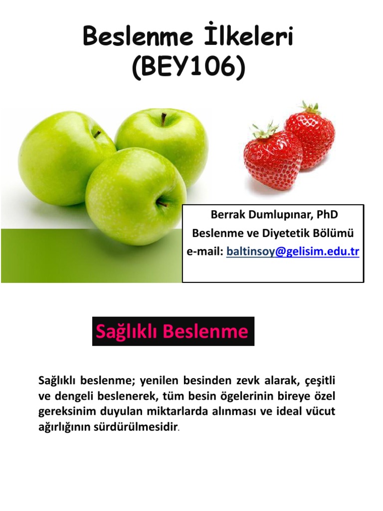 Beslenme Ilkeleri | PDF