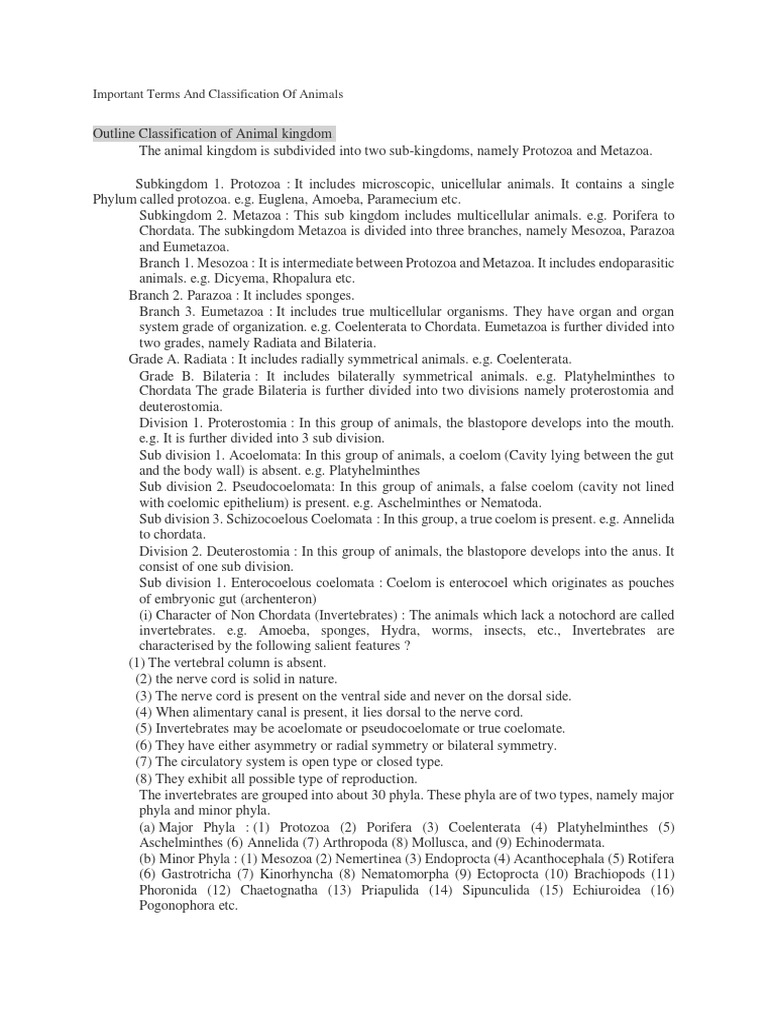 ZOOLOGY - Unit1,2,3,4,5,6 | PDF | Invertebrate | Sponge