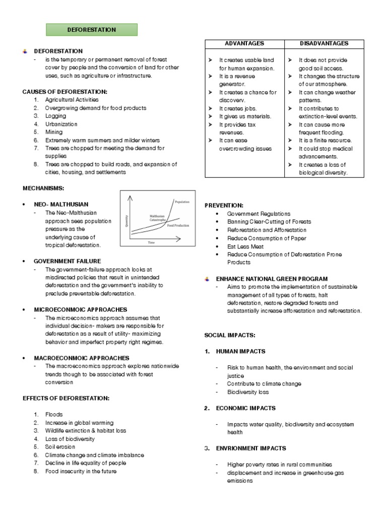Deforestation Notes Pdf Sea Level Rise Biodiversity