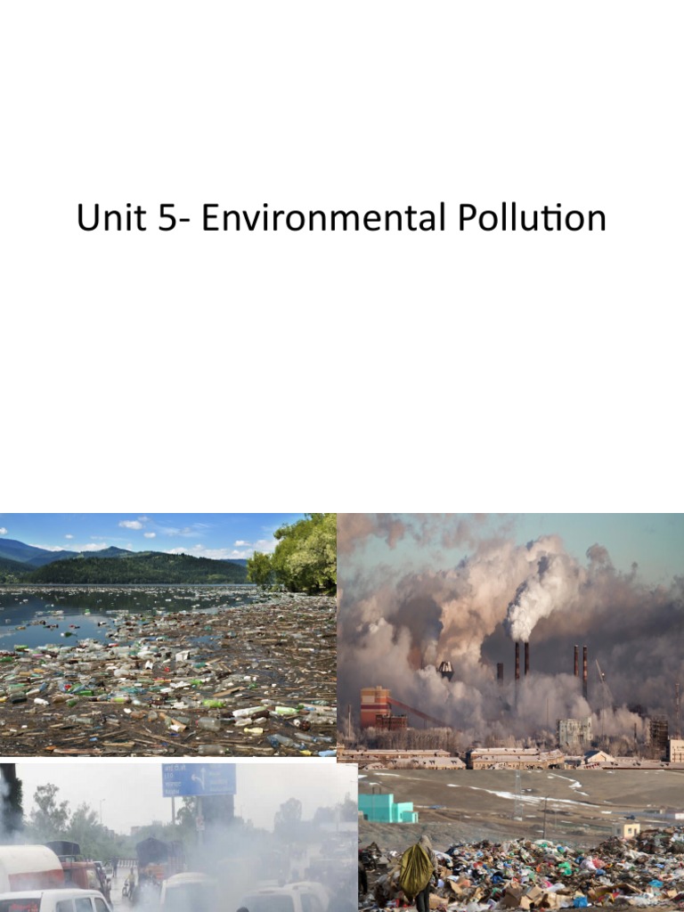 Overview of Environmental Pollution | PDF | Ozone Depletion | Smog
