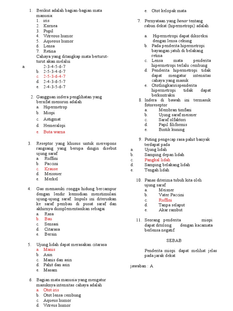 Soal Quis Sistem Indra | PDF