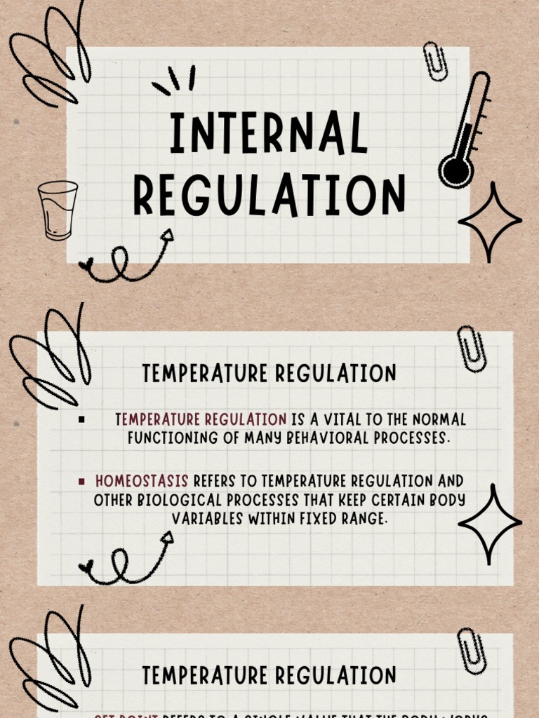 Internal Regulation | PDF | Digestion | Pancreas
