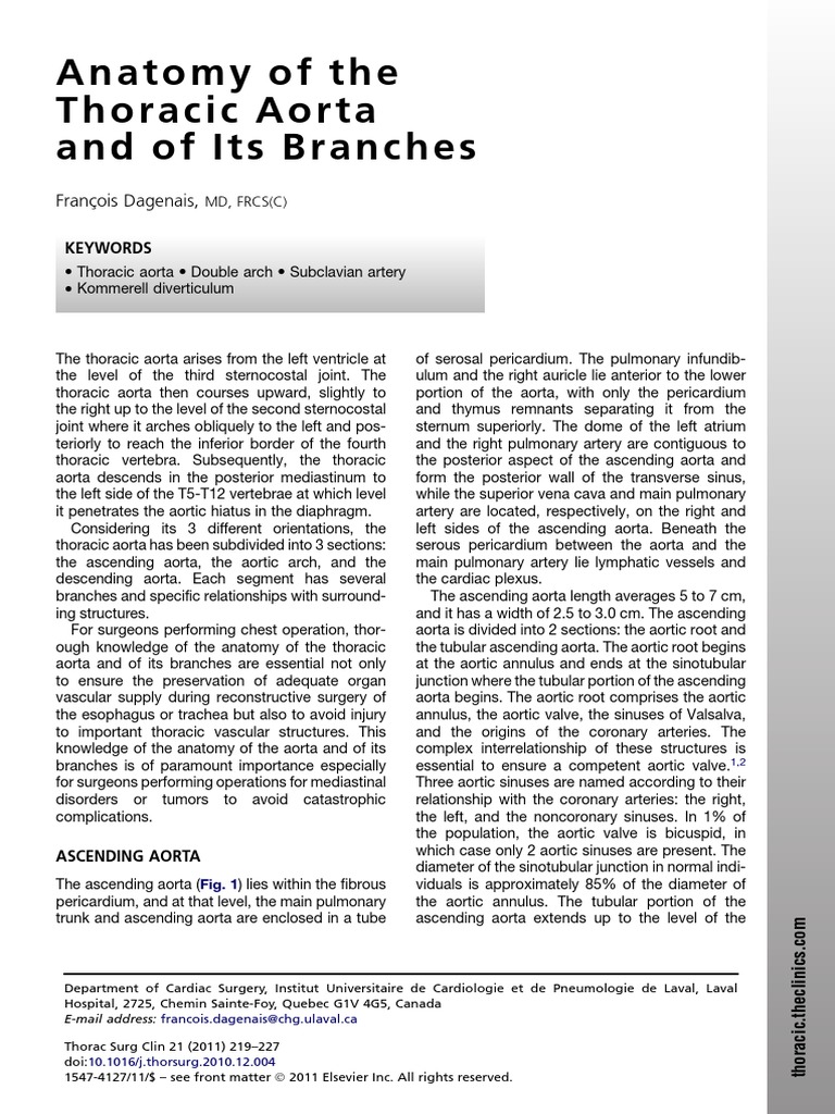 10 Anatomy of The Thoracic Aorta and of Its Branches | PDF | Aorta ...