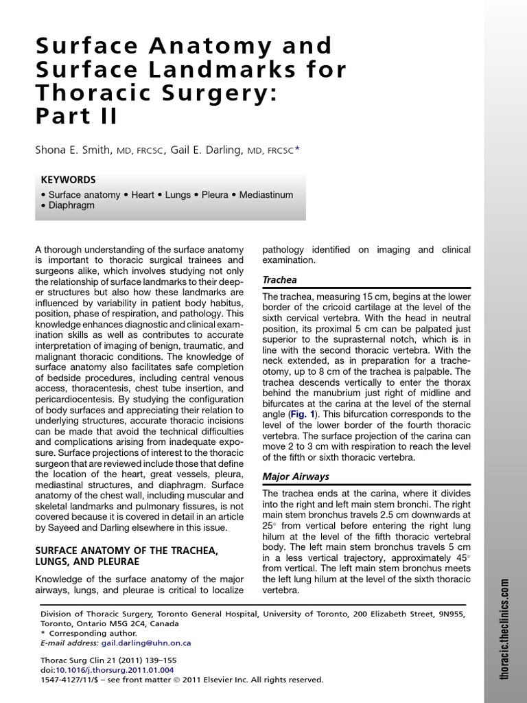 Thoracic Surgery Surface Anatomy Guide | PDF | Aorta | Heart