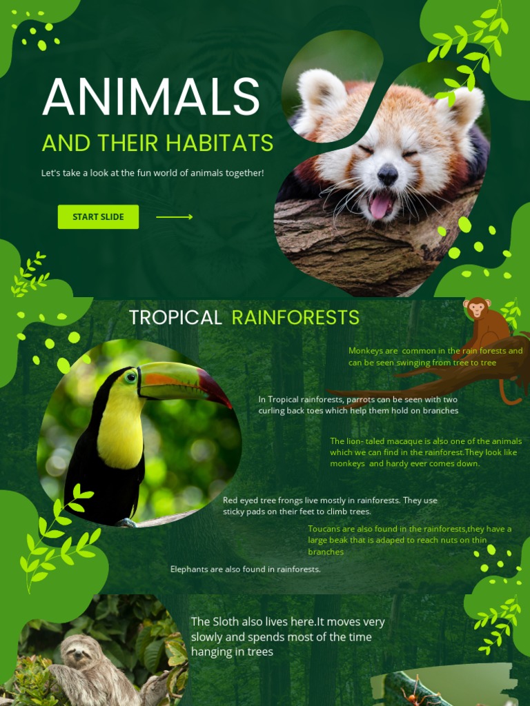 A Guide To The Habitats of Animals of The World | PDF | Predation ...