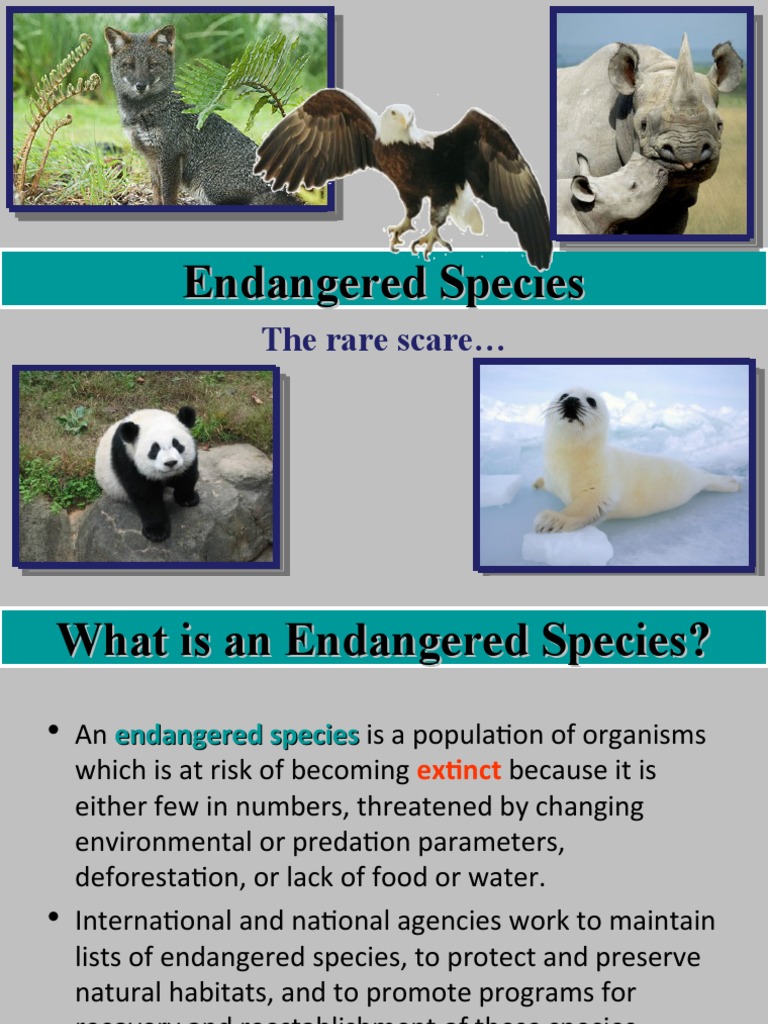 Understanding Endangered Species: Causes, Impacts, and the Efforts to ...