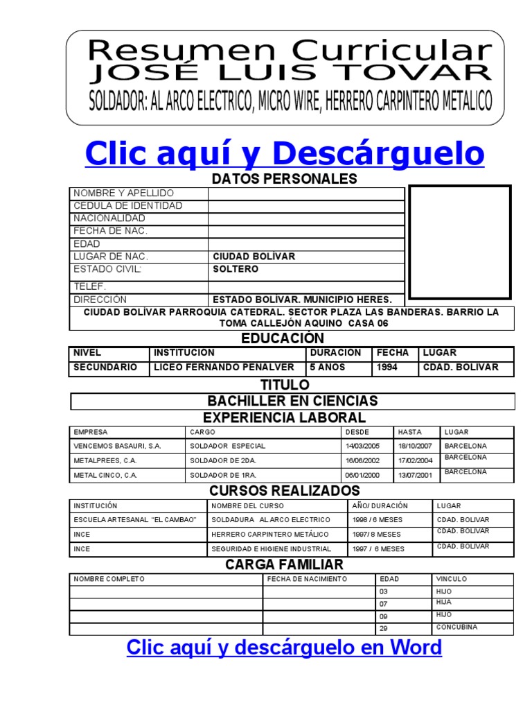 Formato Modelo Ejemplo de Resumen Curricular para Rellenarlo | PDF