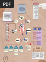 Types of MI and Their Codes Chapter 9 Guidelines Final Updated | PDF ...