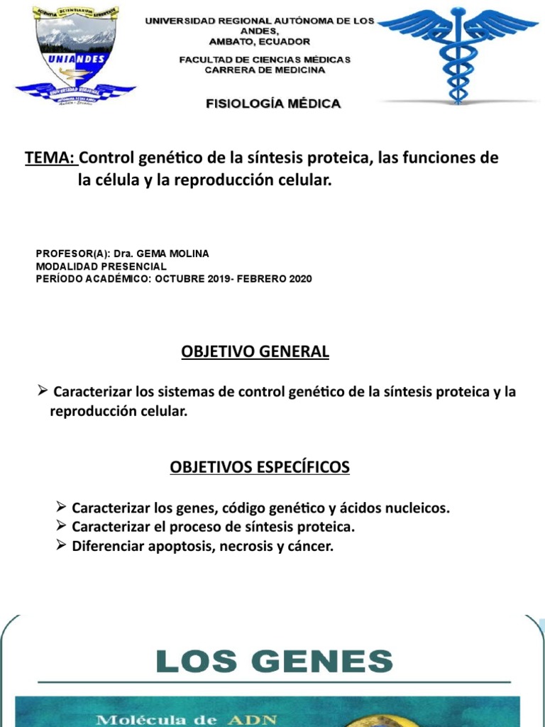 Control Genético y Síntesis Proteica | PDF | Adn | Rna