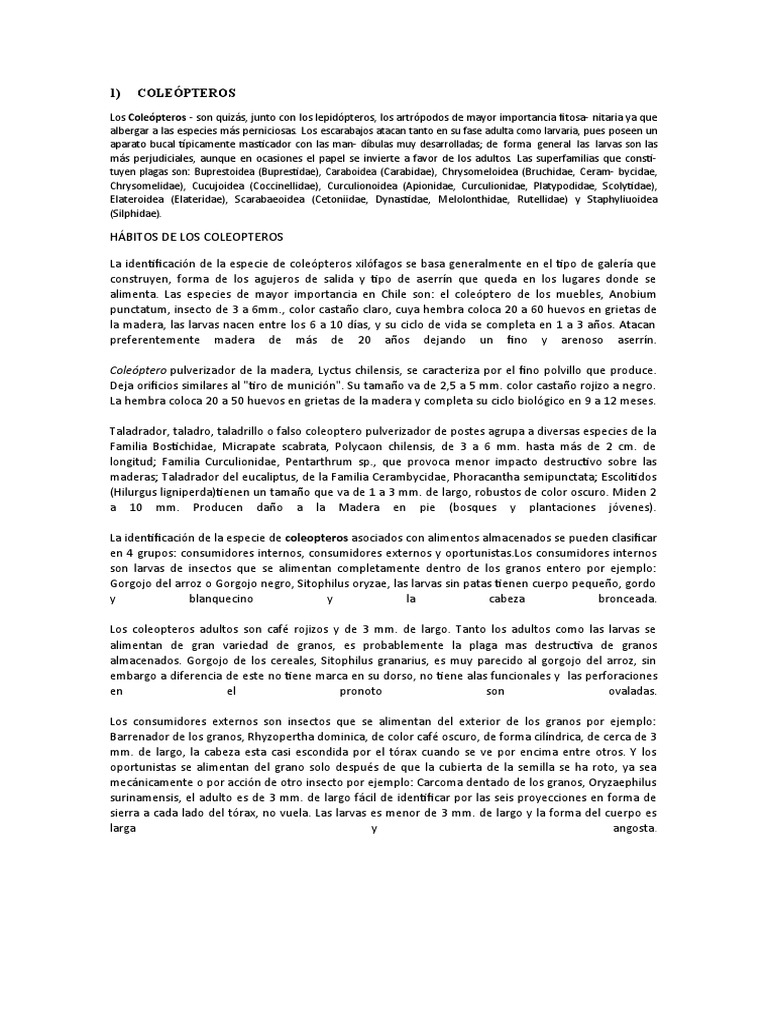 Coleópteros: Plagas y Hábitos | PDF | Escarabajo | Insectos