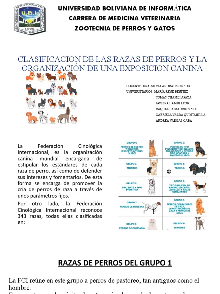Disertacion Grupall | PDF | Razas de perros | Golden Retriever