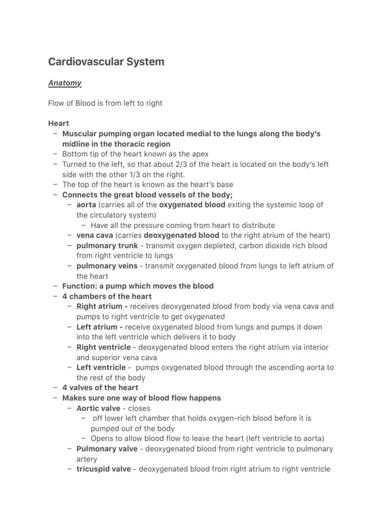 Cardiovascular System | Download Free PDF | Heart | Atrium (Heart)