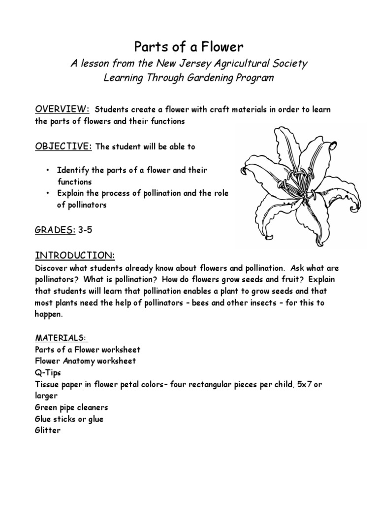 Flower Parts ID Craft Lesson | PDF | Flowers | Pollinators