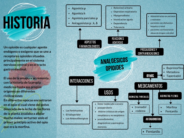 Analgesicos Opioides - Farmacologia | PDF | Opioide | Fentanilo