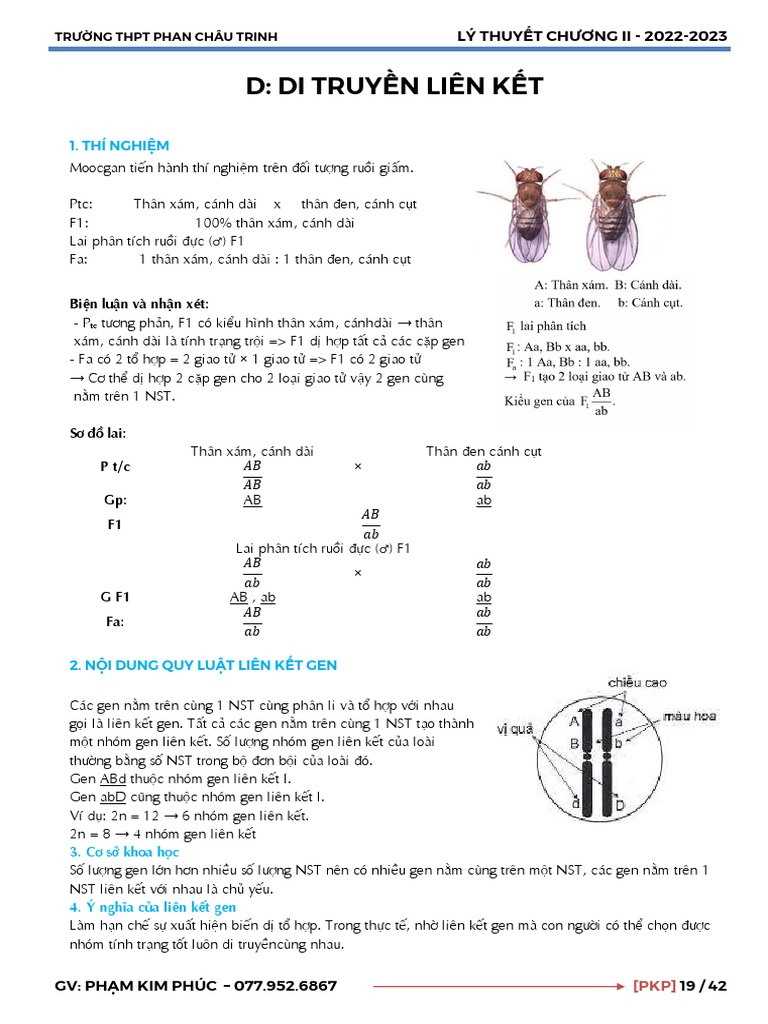 SH12 LIÊN KẾT HOÁN VỊ GEN | PDF