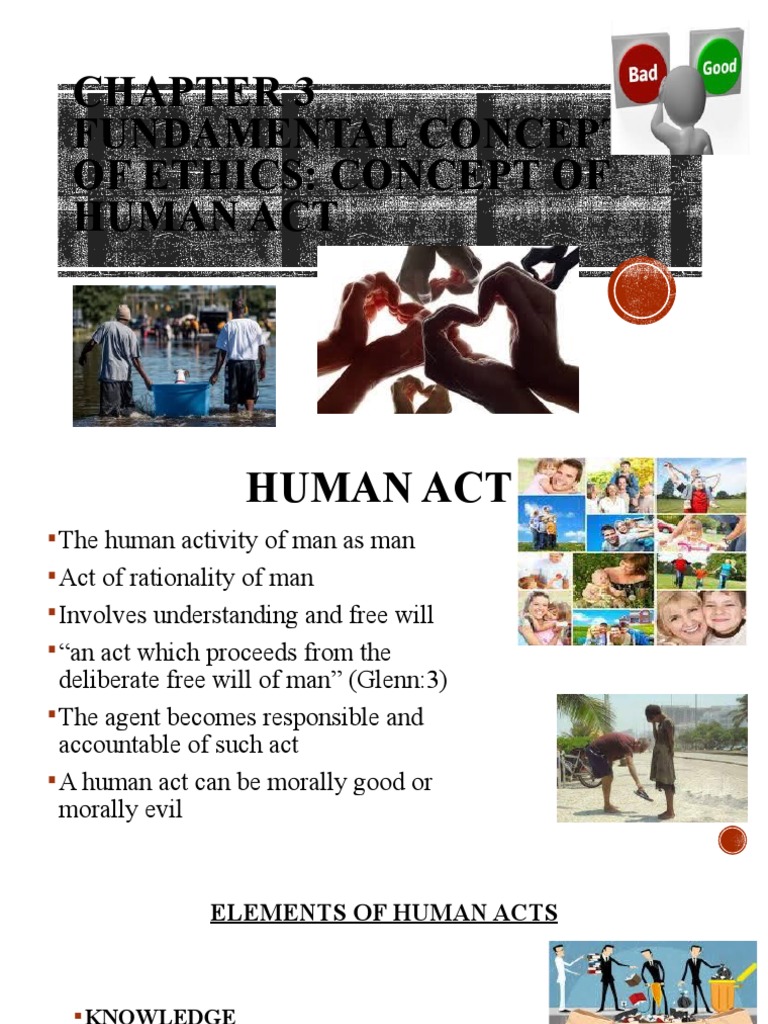 Human Acts | PDF | Free Will | Knowledge