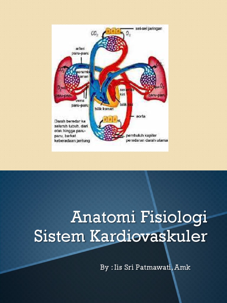 Sistem Kardiovaskuler | PDF