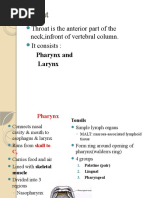 Ppt-Grade 9 - Respiratory System | PDF | Respiratory Tract | Lung