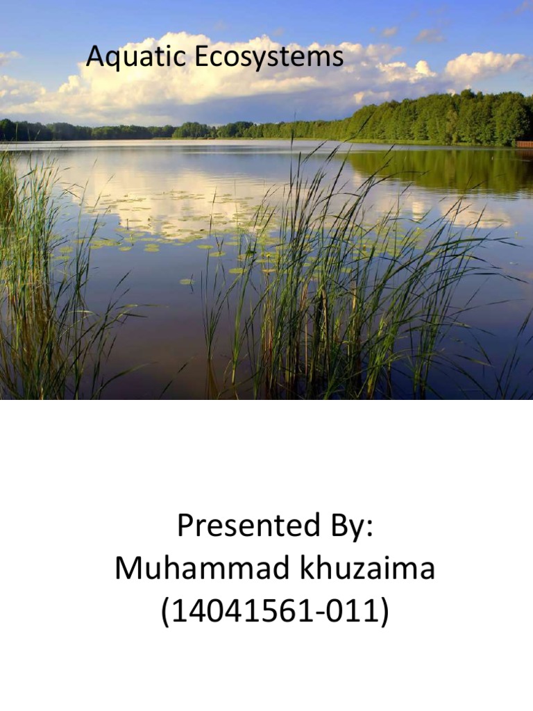 Aquatic Eco System | PDF | Aquatic Ecosystem | Water Pollution
