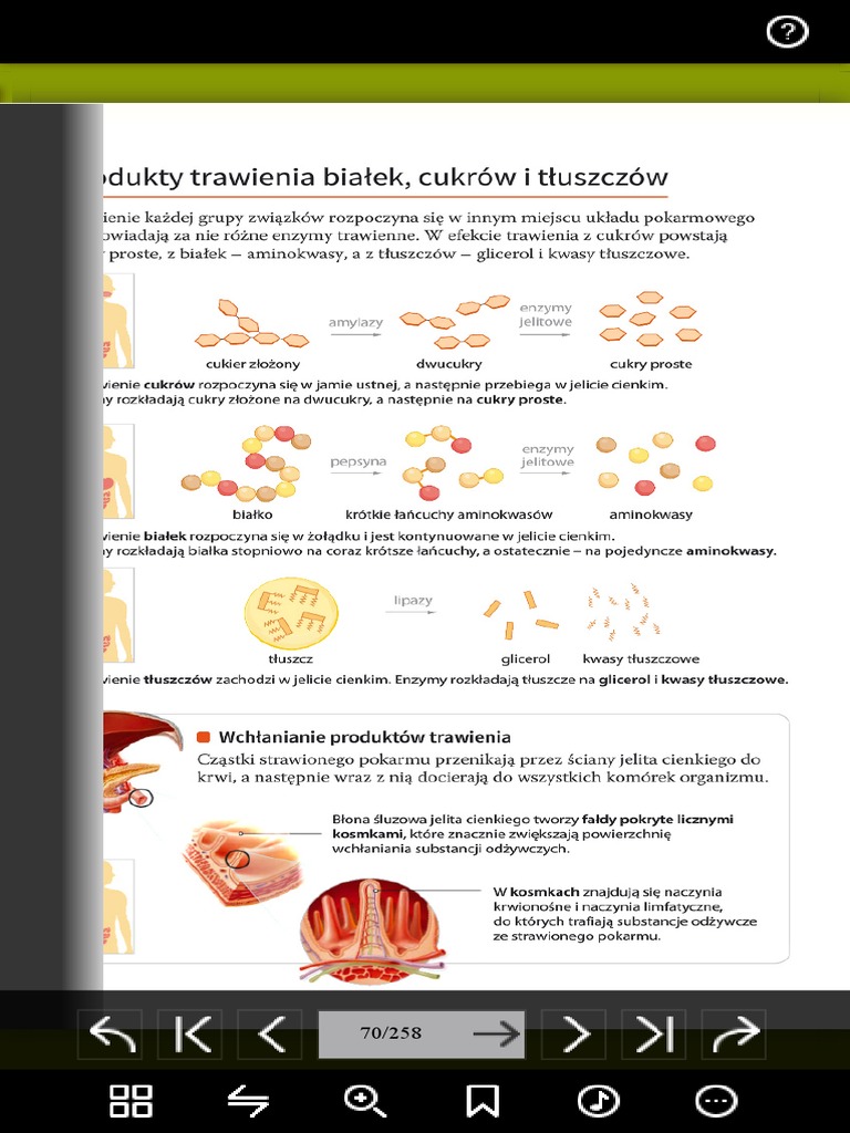 Puls Życia 7 - Biologia SP - Demo | PDF