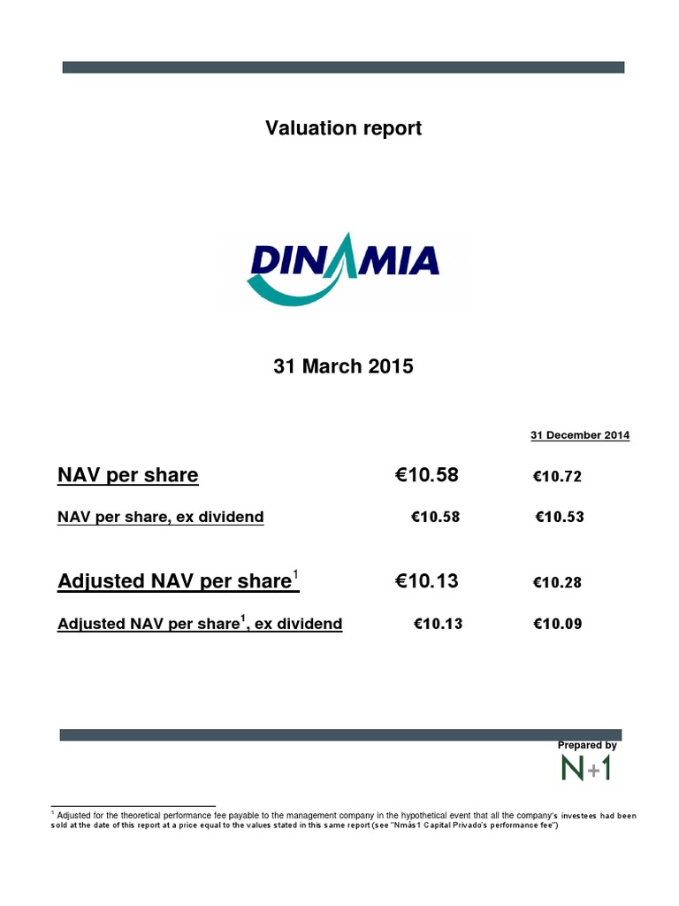 Share Valuation Report | PDF | Valuation (Finance) | Private Equity
