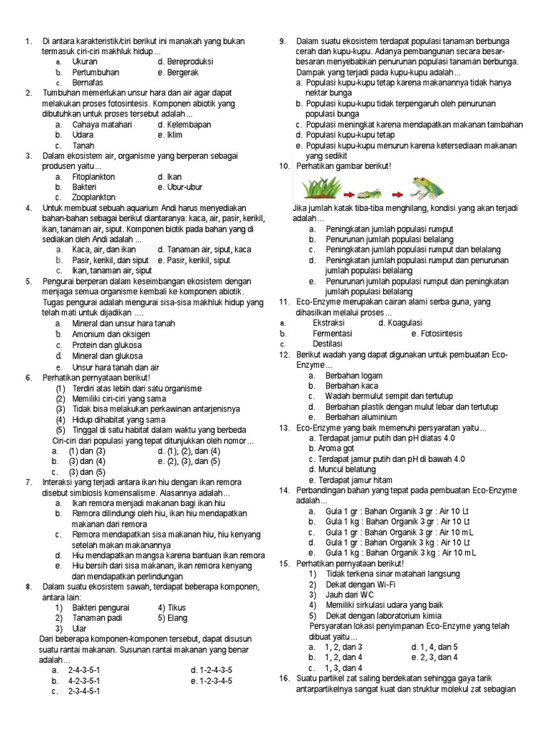 Soal Projek Ipas X | PDF
