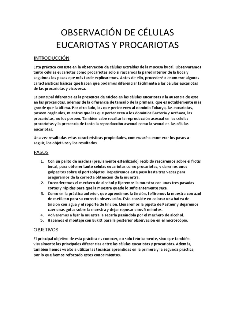 BIOLOGIA Informe 3 | PDF | Biología Celular) | Procariota