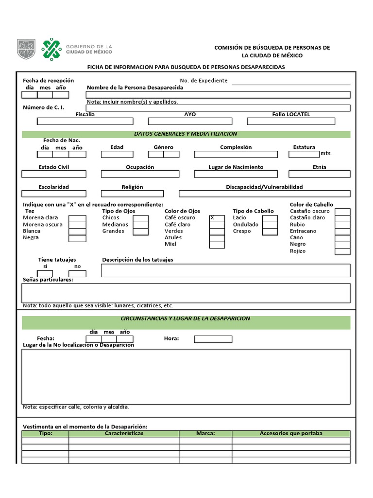 Formato de Reporte | PDF