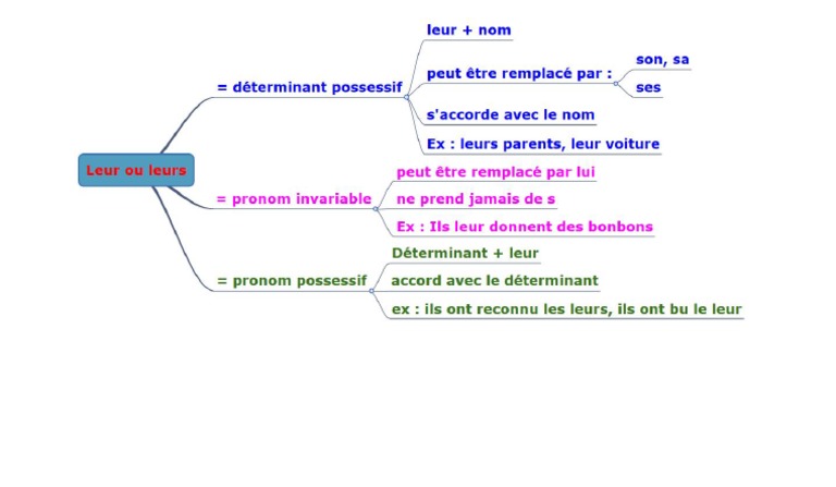 Carte Mentale Règle de Leur-Leurs | PDF