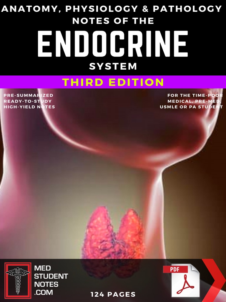 Endocrine System Notes - 3rd Ed | PDF | Foreign Language Studies
