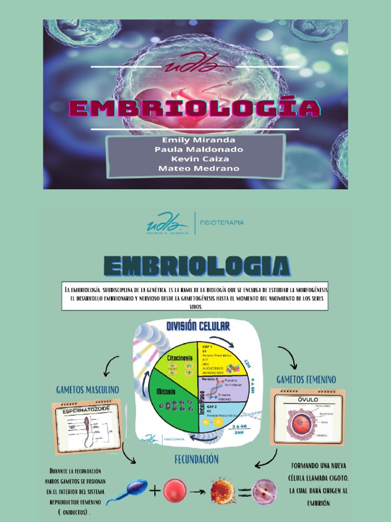 Embriología | PDF