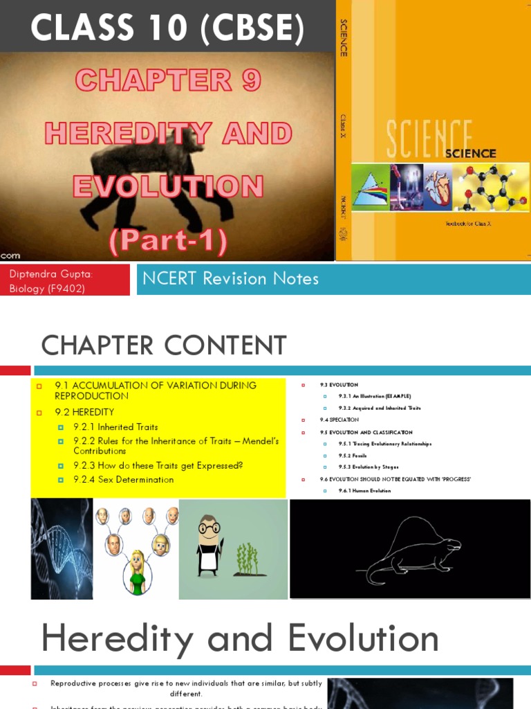 Heredity and Evolution - Part 1 | PDF | Heredity | Gene