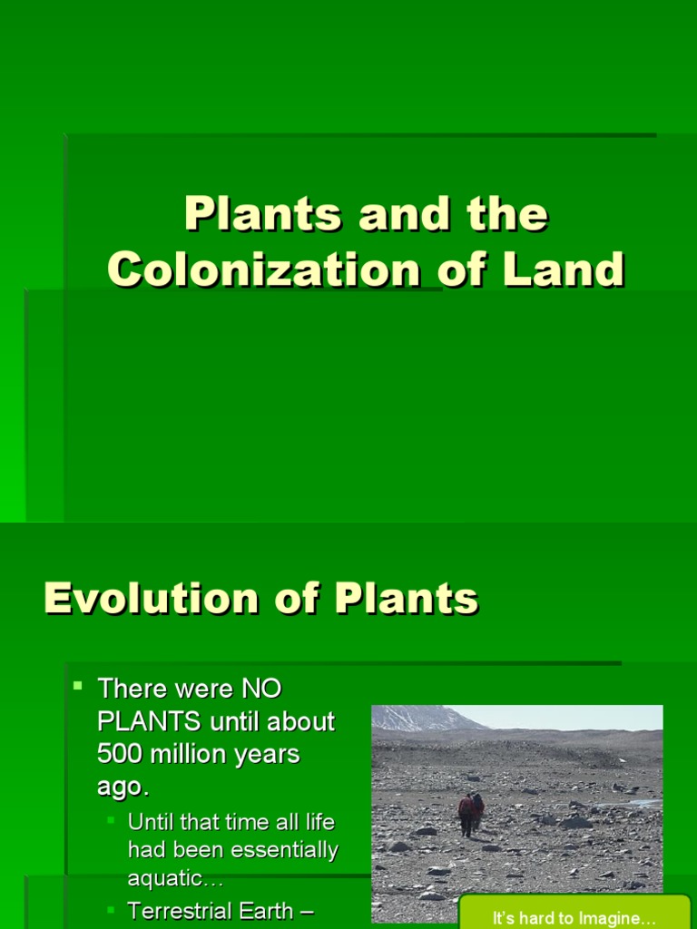 Plants and The Colonization of Land | PDF | Plants | Eukaryotes