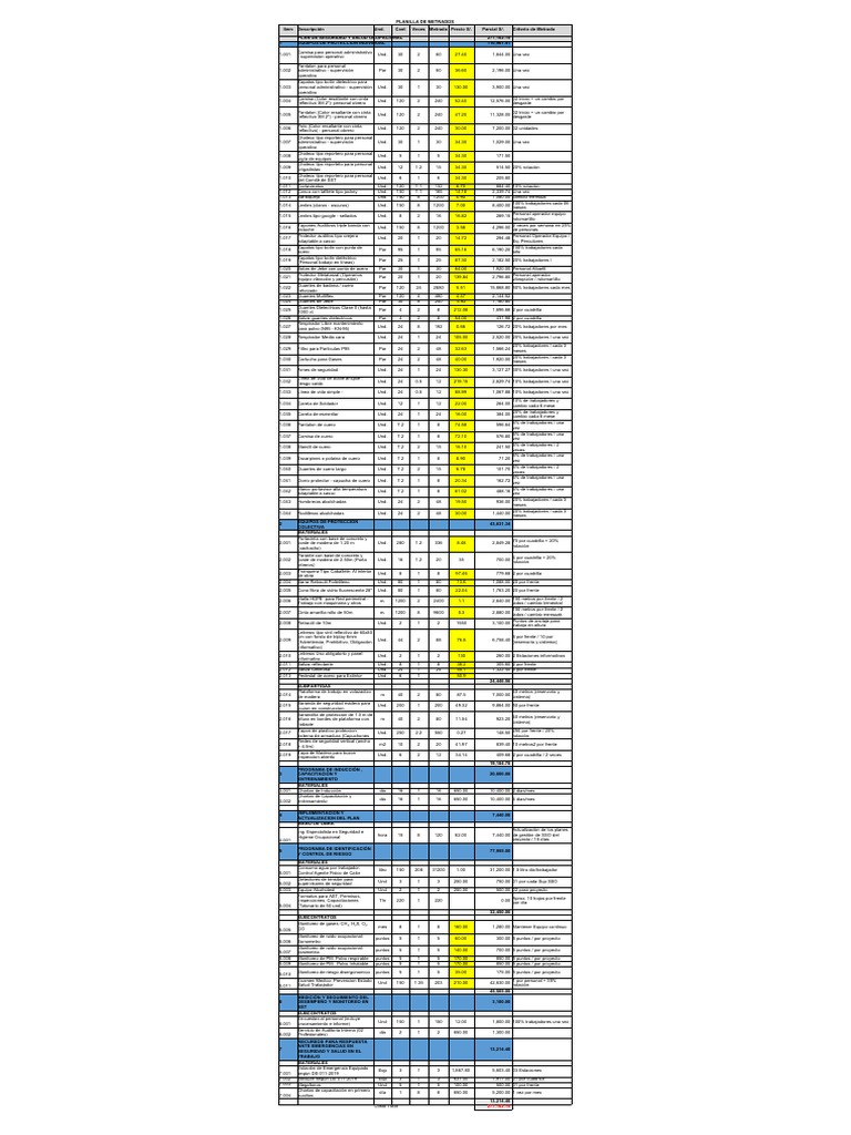 Presupuesto Modelo Plan SSO | PDF