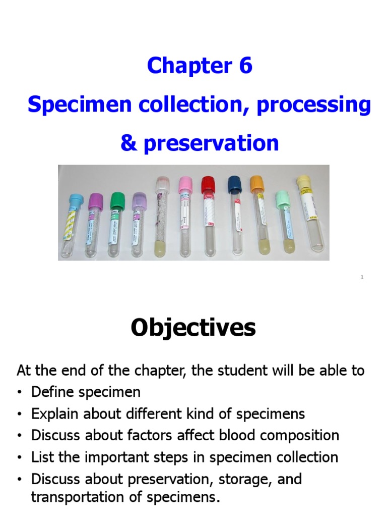 Chapter 6 Specimen Collection, Handling, and Processing | PDF | Blood ... Chapter 6 Specimen Collection, Handling, and Processing | PDF | Blood ...