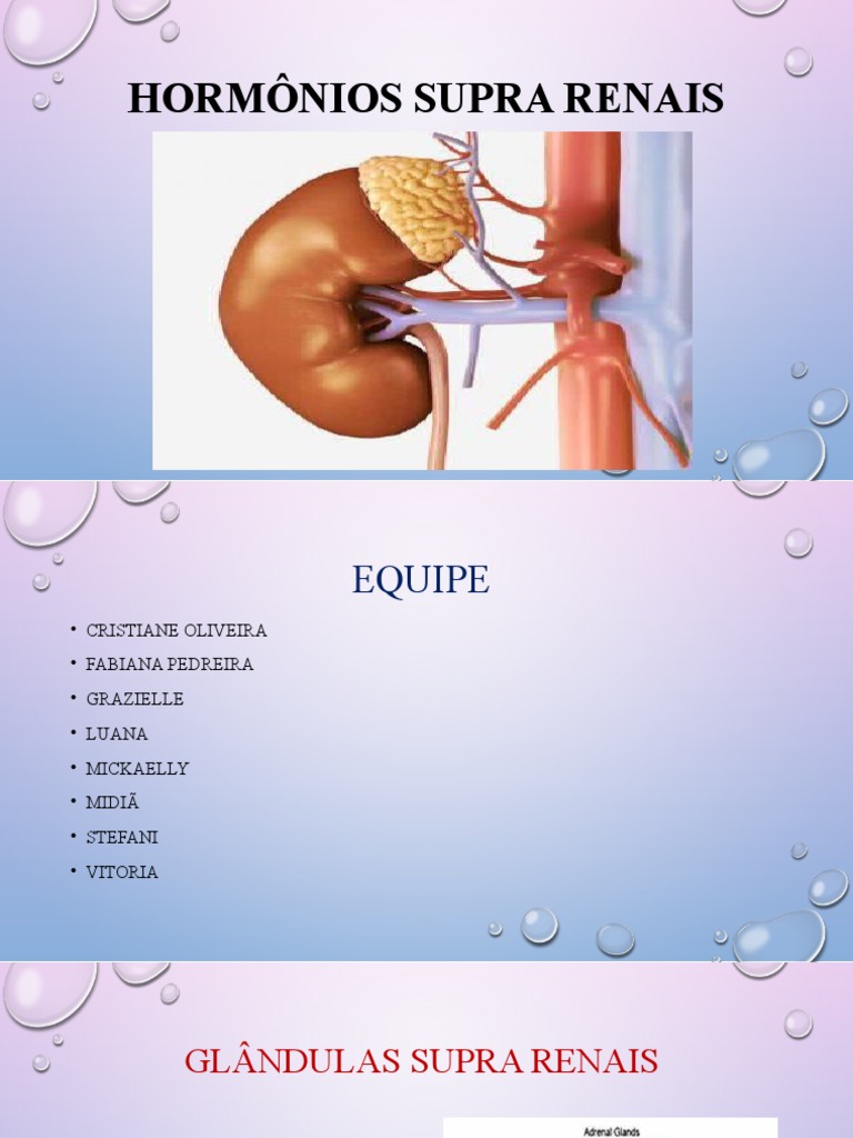 Hormônios Supra Renais | PDF | Glândula suprarrenal | Cortisol