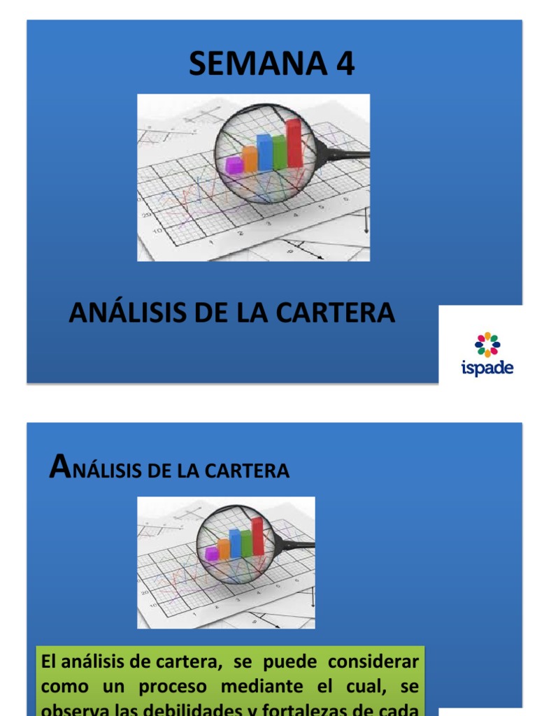 Análisis de La Cartera | PDF