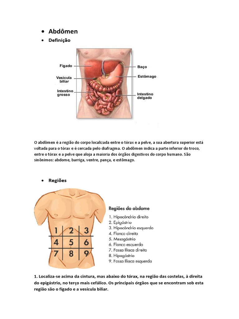 Abdômen | PDF | Abdômen | Sistema digestivo
