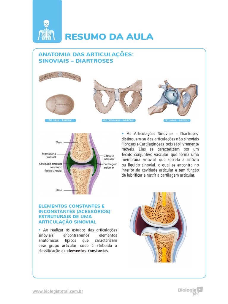 SUP - AP - Anatomia Humana - Resumo - Articulações Sinoviais Diartrose ...