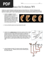 Evidence of Evolution Answer Key | PDF | Anatomy | Organisms