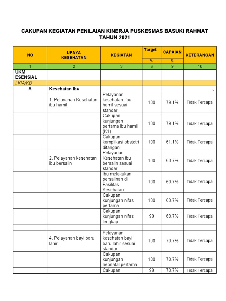 CAKUPAN KEGIATAN PENILAIAN KINERJA PUSKESMAS BASUKI RAHMAT Baru 2022 | PDF