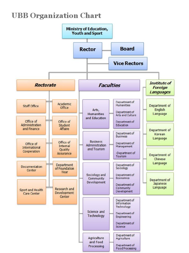 UBB Organization Chart | PDF | Organizational Structure | Accountability