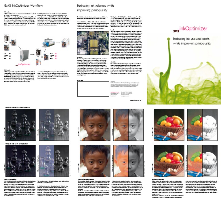 GMG Ink Optimizer Brochure | PDF | Workflow | Printer (Computing)